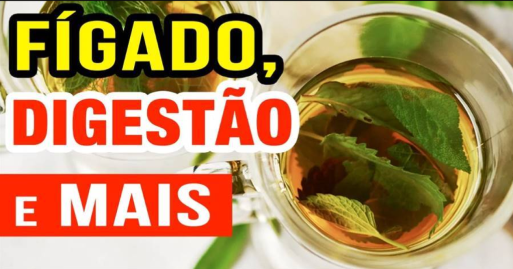 CHÁ DE BOLDO - BENEFÍCIOS para FÍGADO, DIGESTÃO, INTESTINO e Como Tomar ...